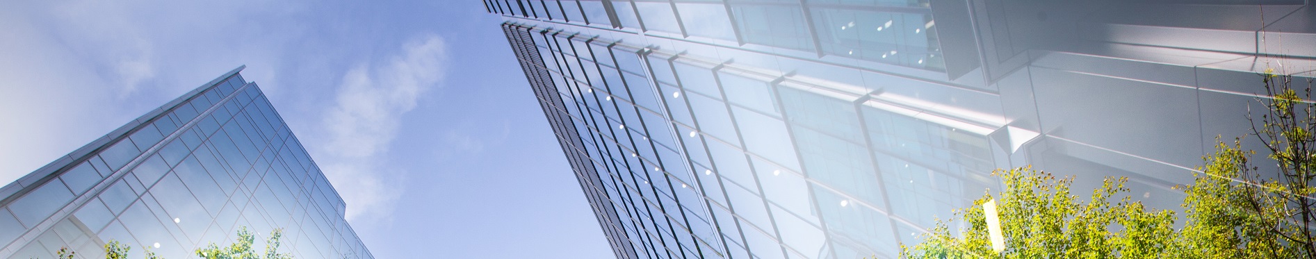 Employee Resources – 3 Mark Financial